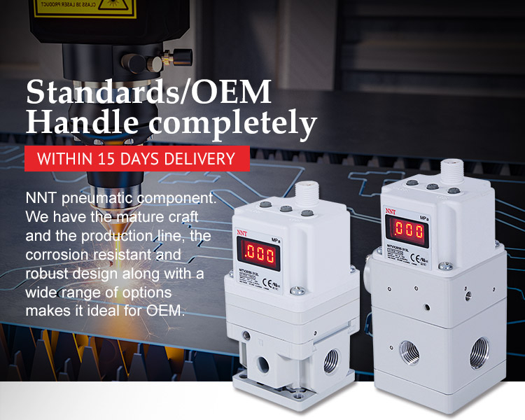 Air Regulator, Digital Pressure Flow Sensor Manufacturer-NNT